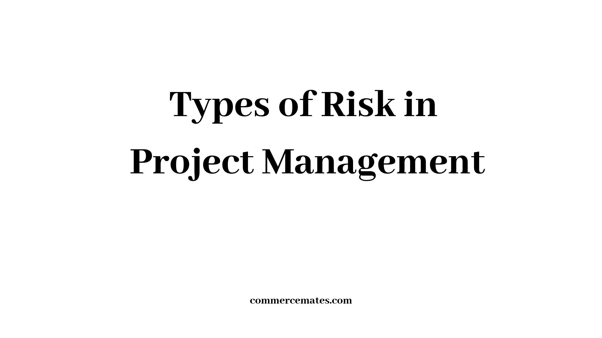 Types Of Risk In Project Management