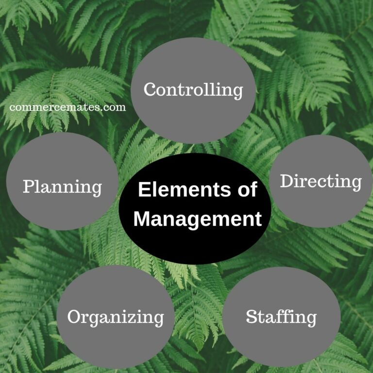 5 Elements of Management Process