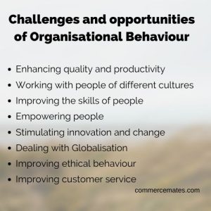 Challenges and Opportunities of Organisational Behaviour (PDF)