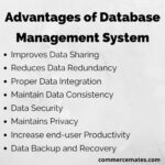 Advantages of Database Management System