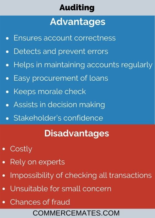 12 Advantages and Disadvantages of Auditing with PDF