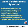Traditional Methods of Performance Appraisal