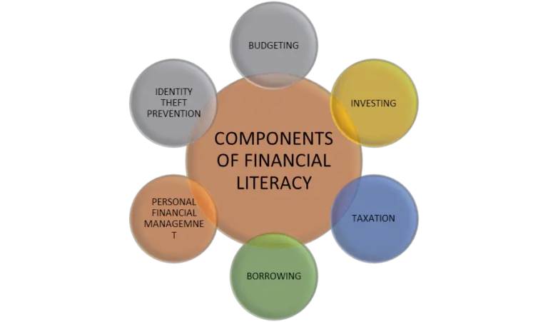 Financial Literacy Meaning Importance Components Scope