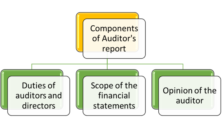 Additional Disclosure Statements: Meaning, Need, Components